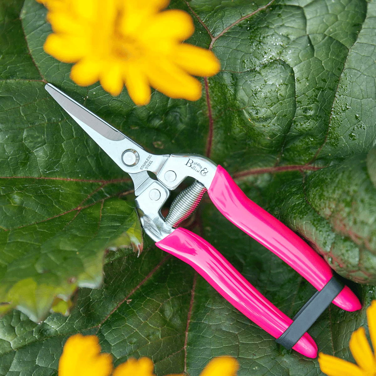 FloraBrite Flower & Fruit Snip | Gardening Tools | The Potted Garden