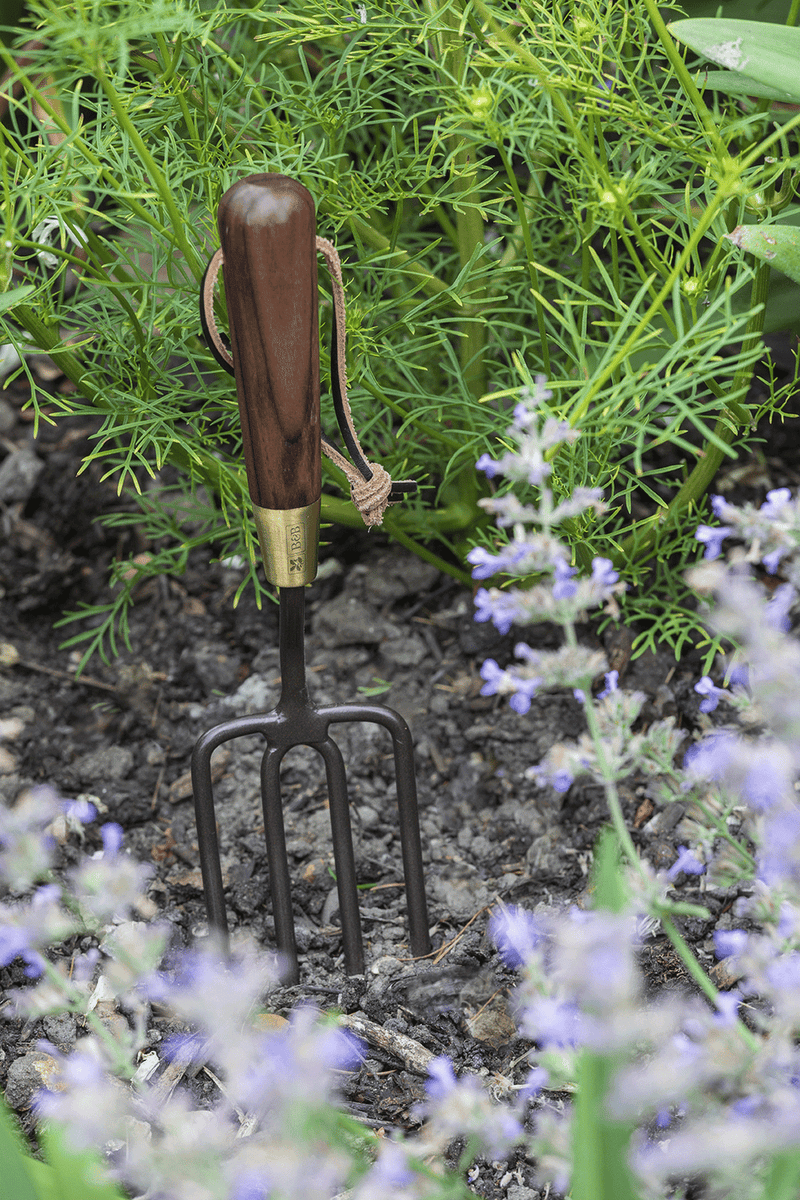 Garden Round-Tined Hand Fork | Gardening Tools | The Potted Garden